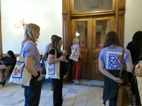 Georgia Lobby Day: a Battleground for Reproductive Freedom